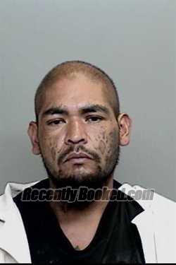 Recent Booking / Mugshot for JOHN CARL HOAGLEN in Mendocino County ...