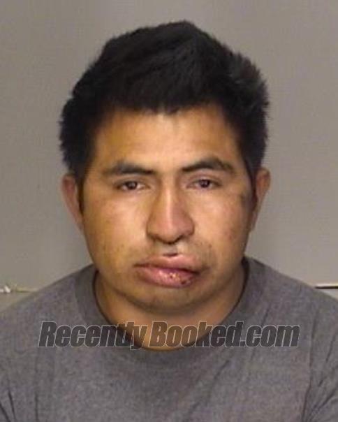 Recent Booking / Mugshot for CRUZ OCH in Merced County, California
