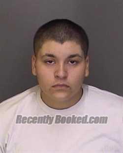 Recent Booking / Mugshot for SAMANTHA QUINTERO in Merced County, California