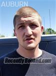 Recent Booking / Mugshot for WILLIAM THOMAS COSTANZO in Placer County ...