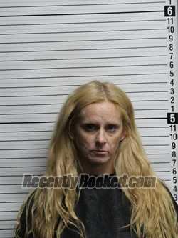 Recent Booking / Mugshot for JORDAN MINTZ DISTEFANO in Brunswick County ...