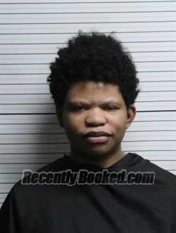 Recent Booking / Mugshot for JASMINE MISHELL-ARIANNA LEE in Brunswick ...