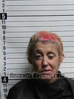 Recent Booking / Mugshot for CHRISTINE ELIZABETH MCARDELL in Brunswick ...