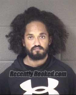 Recent Booking / Mugshot for DEVON LEE LOGAN in Buncombe County, North ...