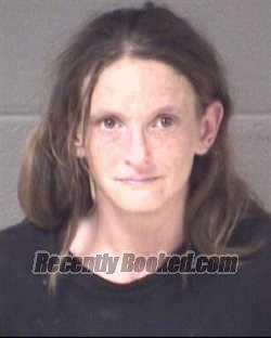 Recent Booking / Mugshot for APRIL NICOLE HYATT in Buncombe County ...