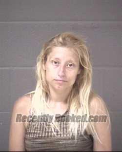 Recent Booking / Mugshot for BRANDY LEIGH RICE in Buncombe County ...