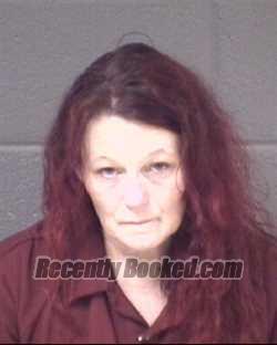 Recent Booking / Mugshot for NICOLE POLLACK HUDSON in Buncombe County ...