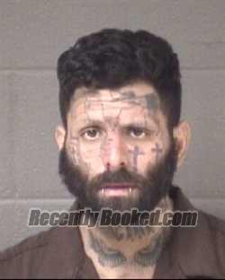 Recent Booking / Mugshot for PAUL HENRY PASTORELLI ROBINSON in Buncombe ...