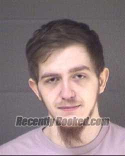 Recent Booking / Mugshot for RILEY RAYE DALTON in Buncombe County ...