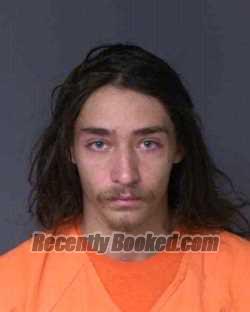 Recent Booking / Mugshot for ALEXANDER SAMUEL NICHOLS SCHREIBER in ...