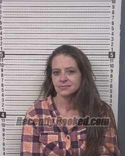 Recent Booking / Mugshot for AMANDA JO MINTON in Caldwell County, North ...
