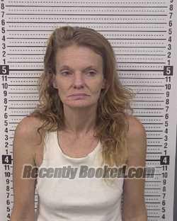Recent Booking / Mugshot for AMANDA CHANEL BURKES in Caldwell County ...
