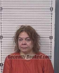 Recent Booking / Mugshot for KARLA MICHELLE HOFFMAN in Caldwell County ...