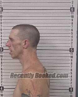 Recent Booking / Mugshot for JACOB GRANGE SHOOK in Caldwell County ...