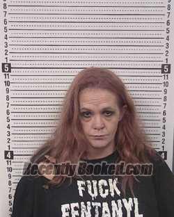 Recent Booking / Mugshot for ROBIN ELIZABETH TRIVETTE in Caldwell ...