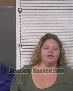 Recent Booking / Mugshot for APRIL LYNN BUTLER in Caldwell County ...