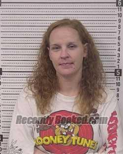 Recent Booking / Mugshot for ALEXANDRA ROSE HEFNER in Caldwell County ...
