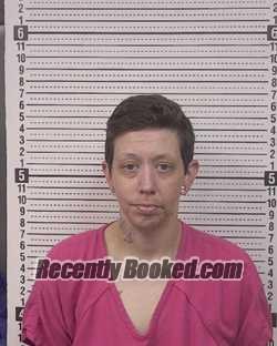 NICOLE RENEE GUSTIN Arrest Record & Booking Info – Caldwell County ...