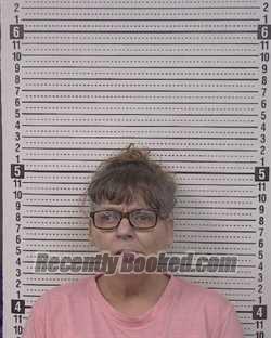 Melissa Jean Wyatt Mugshot & Arrest Info | Caldwell County, NC