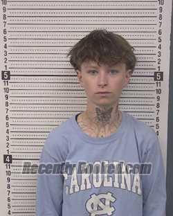 Recent Booking / Mugshot for ALEXIS DESIRE BURCH in Caldwell County ...