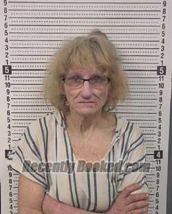 Recent Booking / Mugshot for LISA HOOD CHESTER in Caldwell County ...