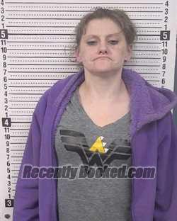 Recent Booking / Mugshot for JULIE MARIE FENNER in Caldwell County ...