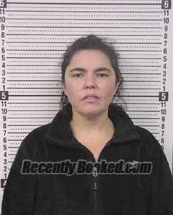 Recent Booking / Mugshot for JENNIFER ELAINE RUDISILL in Caldwell ...