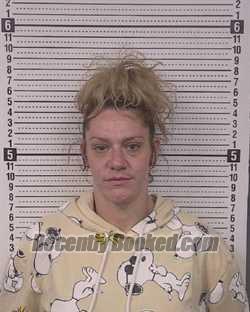 Recent Booking / Mugshot for JESSICA ANNE YOST in Caldwell County ...