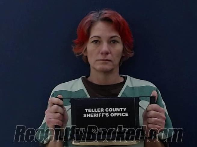 Recent Booking / Mugshot for BRANDI MICHELLE BONNEY in Teller County ...