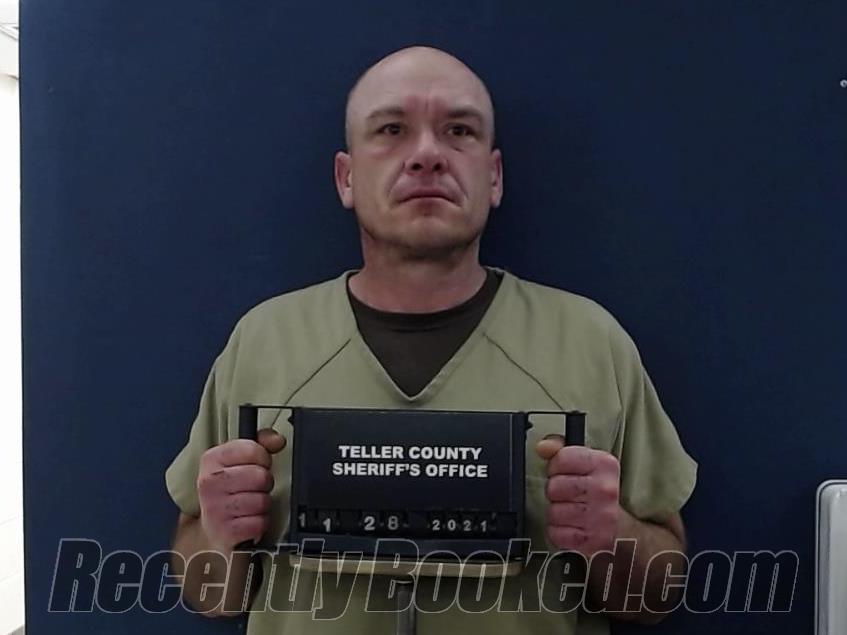 Recent Booking / Mugshot for DENNIS WAYNE ALLEN in Teller County, Colorado