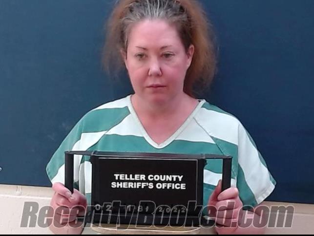 Recent Booking / Mugshot for ROBIN ELIZABETH DOYLE in Teller County ...