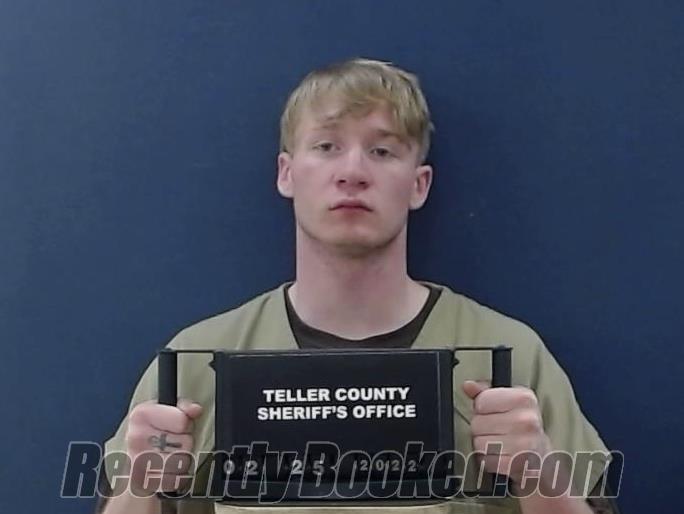 Recent Booking / Mugshot for JEFFREY WAYNE COLLINS in Teller County ...