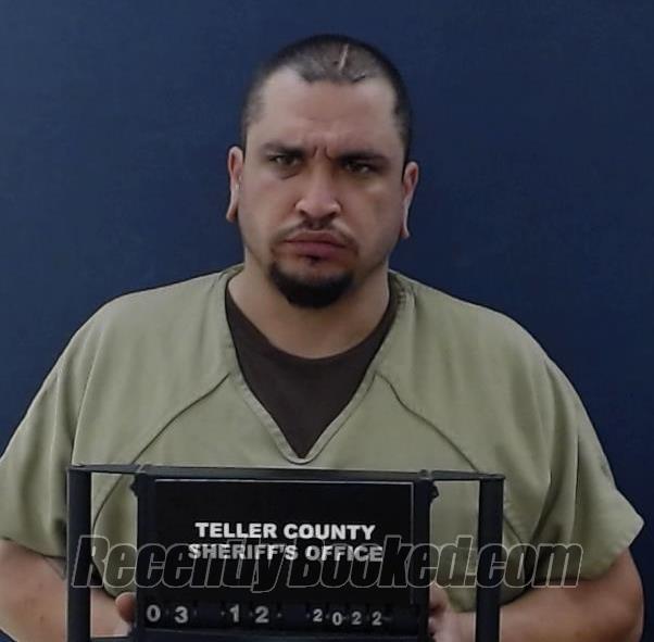 Recent Booking / Mugshot for ANTHONY LEE MATHESON in Teller County ...