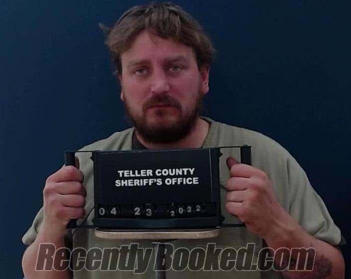 Recent Booking / Mugshot for MICHAEL SHANE MCDONALD in Teller County ...