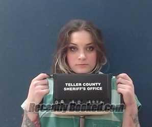 Recent Booking / Mugshot for KEARSTEIN DIELLE CRAYCRAFT in Teller ...