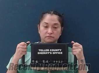 Recent Booking / Mugshot for VIRGINIA MARIE RODRIGUEZ in Teller County ...