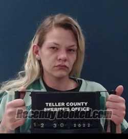 Recent Booking / Mugshot for BROOKLYNN LEE MICHELLE DAVIS in Teller ...