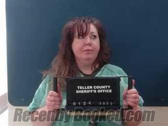 Recent Booking / Mugshot for Robin Elizabeth Doyle in Teller County ...