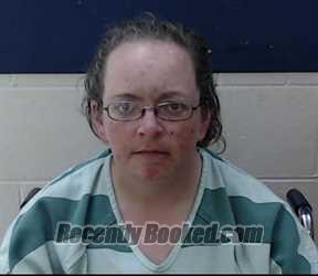 Recent Booking / Mugshot for Crystal Marie Steward in Teller County ...