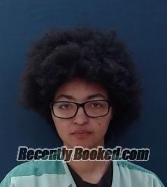 Recent Booking / Mugshot for Ashton Taylor West in Teller County, Colorado