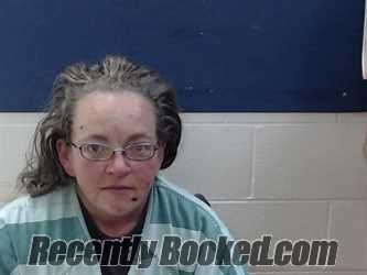 Recent Booking / Mugshot for Crystal Marie Steward in Teller County ...