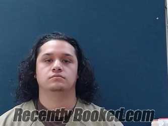 Henry Forbes Henley Arrest Record & Booking Info – Teller County ...