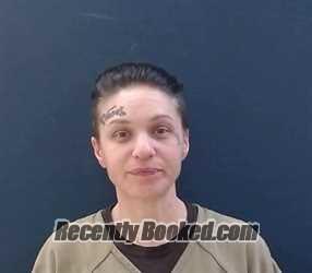 Recent Booking / Mugshot for Chaela Belle Agado in Teller County, Colorado