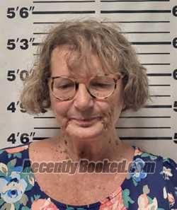Recent Booking / Mugshot for LISA MOORE NORTON in Carteret County ...
