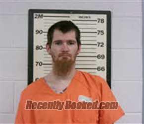 Recent Booking / Mugshot for JAMES MICHAEL HYLER in Caswell County ...