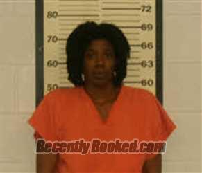 Recent Booking / Mugshot for BREANNA MICHELLE MITCHELL in Caswell ...