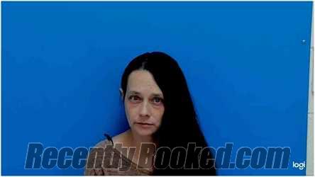 Recent Booking / Mugshot for LISA MARIA LASHER in Catawba County, North ...