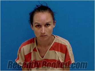 LEA MICHELLE HAMBY Arrest Record & Booking Info – Catawba County, North ...