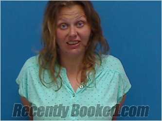 Recent Booking / Mugshot for CHEYENNE ELIZABETH GIBSON in Catawba ...