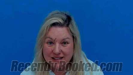 Recent Booking / Mugshot for Heather Wilkinson Abrams in Catawba County ...